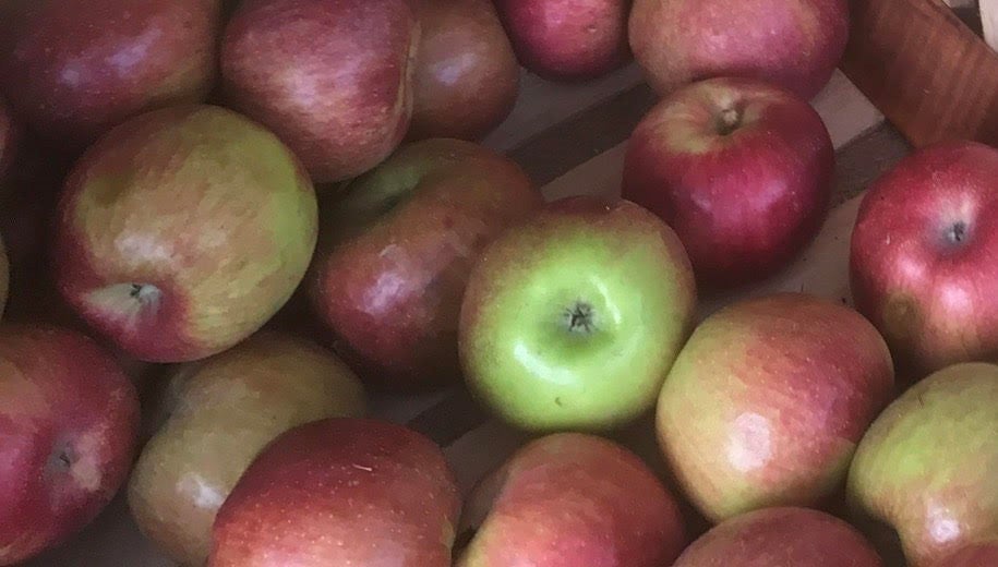 Apples | Oakdale Farms Country Barn & Garden Shop
